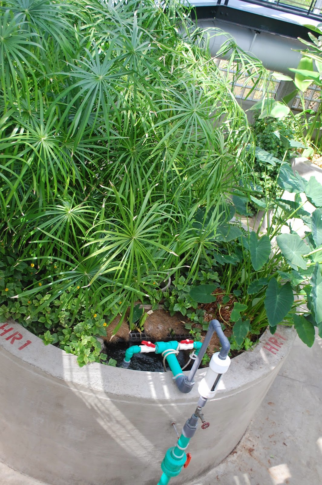 Sprouts: A Living Machine: Vermont's "Green" Rest Stop