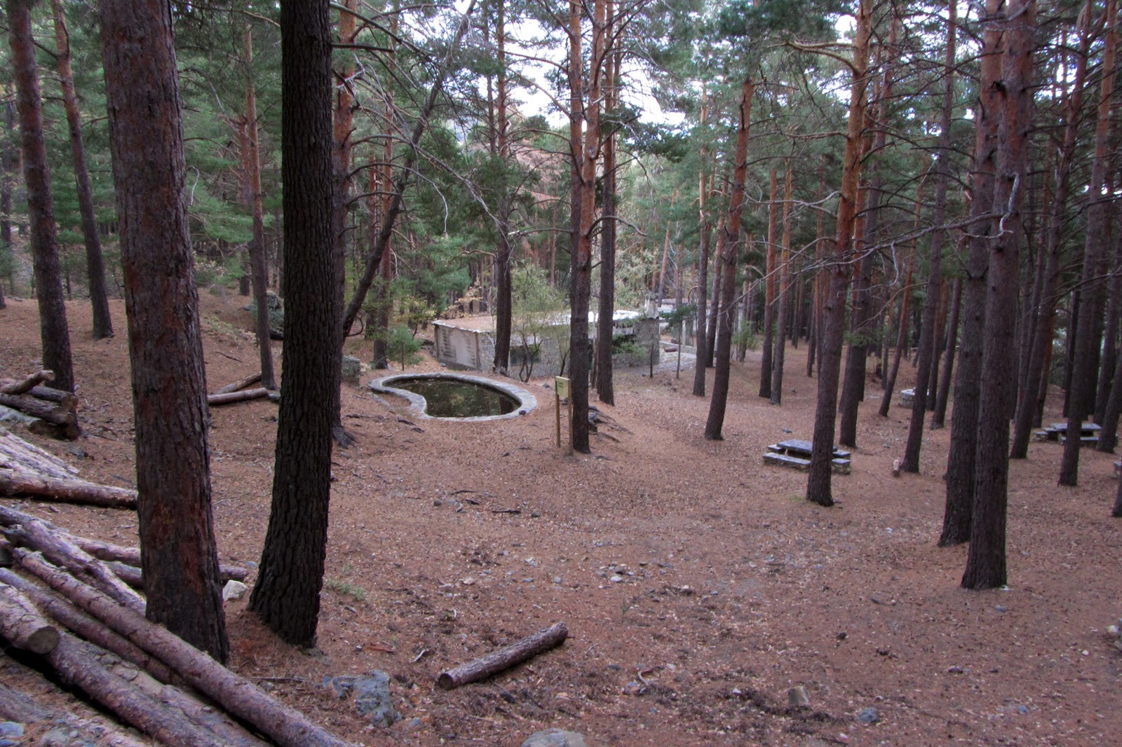 Caminando por Sierras y Calles de Andalucía: Sulayr Tramo 4: Tello ...
