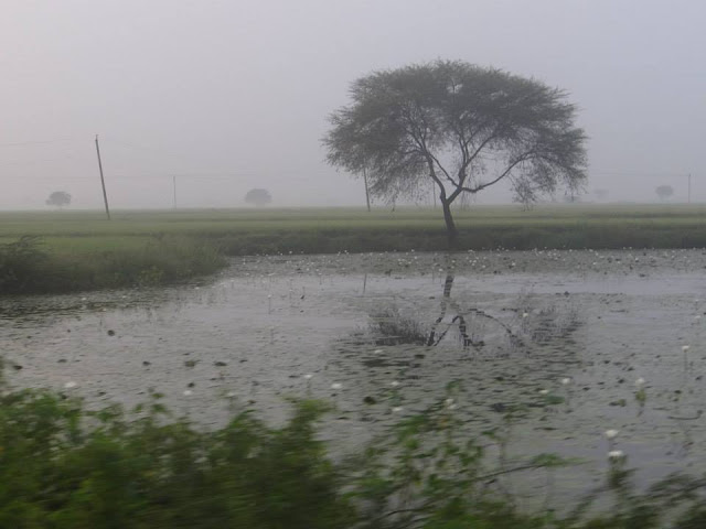 Tamilnadu Tourism: Ubbalamadugu Falls (Tada Falls)