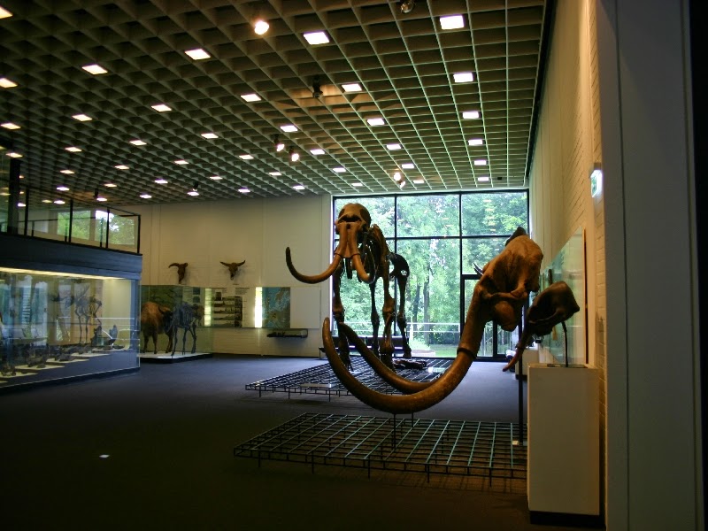 Ruhrgebiet - Kunstmuseen: Bottrop, Museum Quadrat: Josef Albers Museum