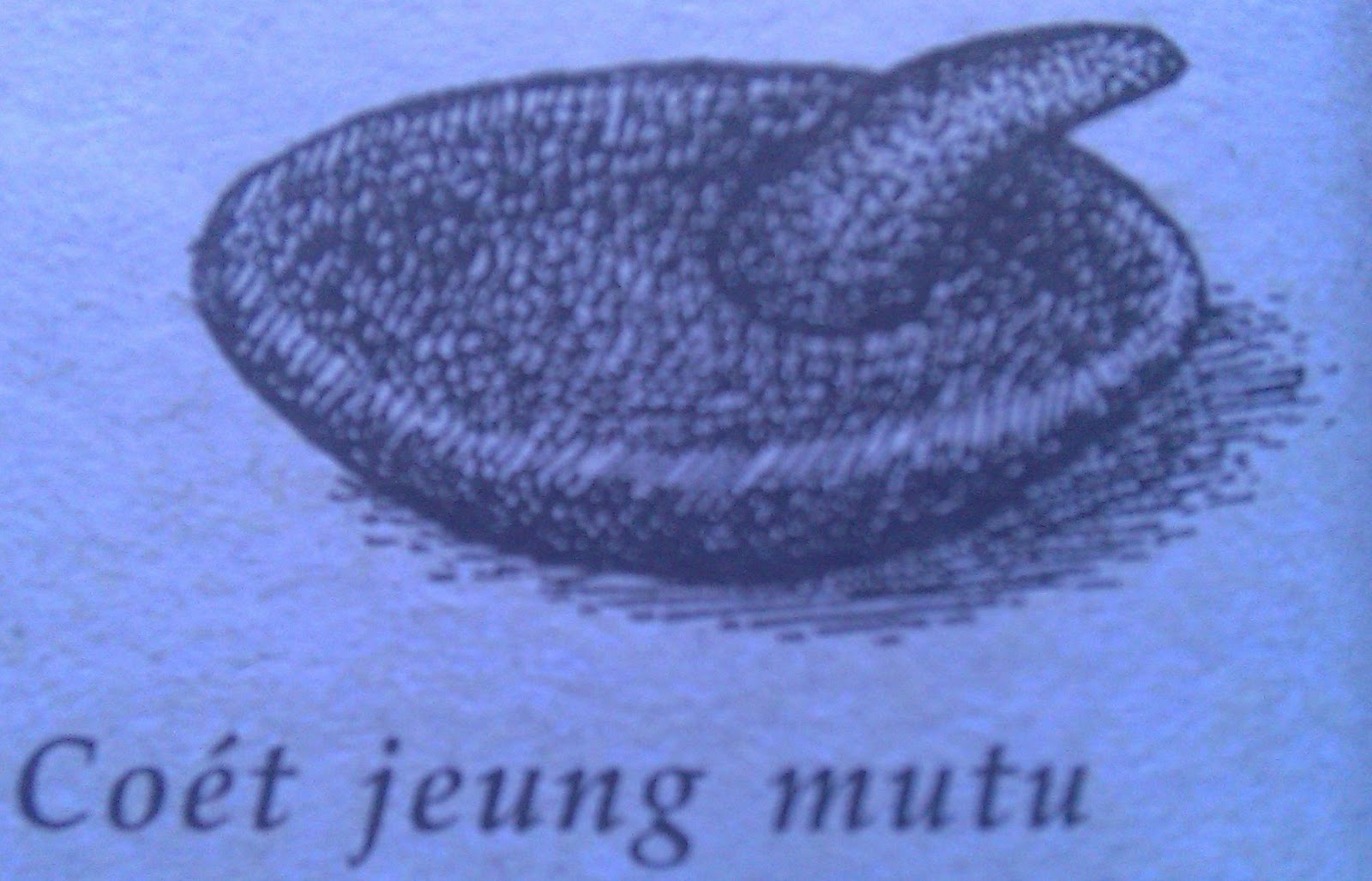 Sasieureun Sabeunyeureun pikeun Sunda: Istilah Pakakas (Parabot)