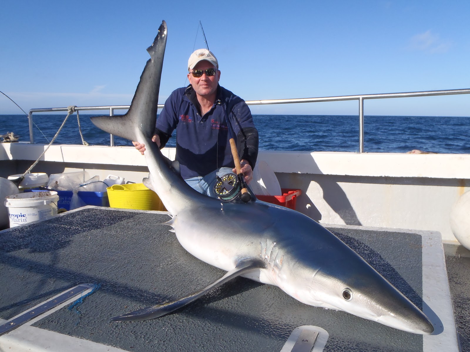 Newtyle Salmon Fishings: Fly Caught Blue Shark