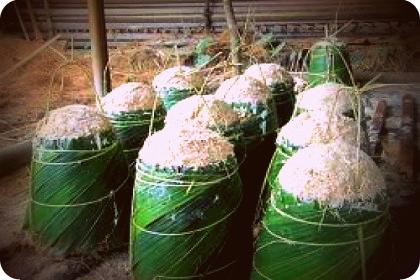 Sagu, Makanan Pokok Orang Papua Penuh Tradisi - #PapuaUS - Papua Untuk ...