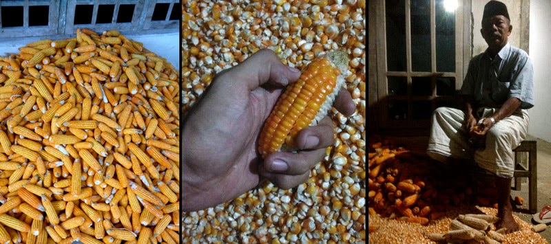 MELMAN AND THE HIPPO: Berziarah Ke Tanah Merah (3)