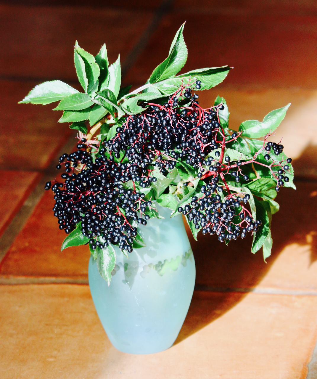 FRUTO ROJO DEL SAÚCO Y 1 RICA MERMELADA