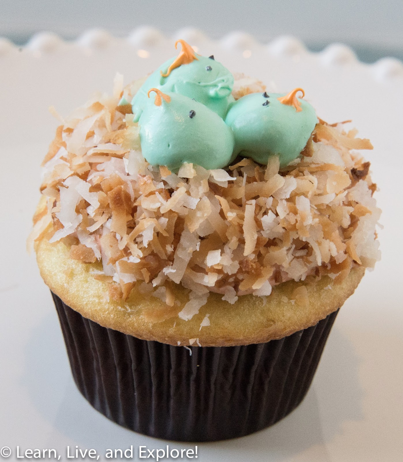 June Cupcake of the Month - Birds Nest ~ Learn, Live, and Explore!