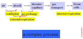 Healthy Body-Healthy Mind: What is Hypoxia and its Consequences?