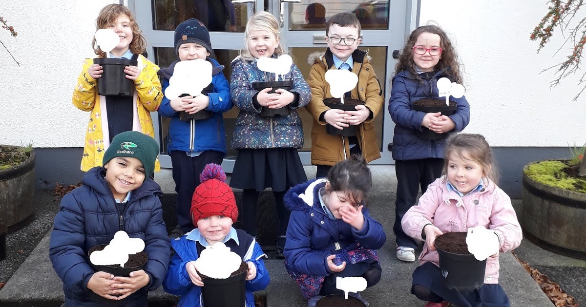 Kilrickle National School: Budding Gardeners
