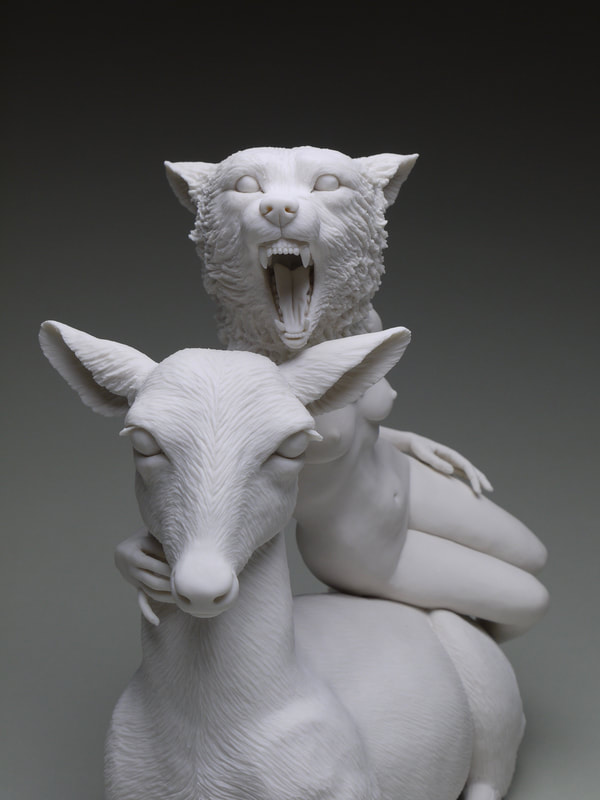 Crystal Morey | CURIOSITE