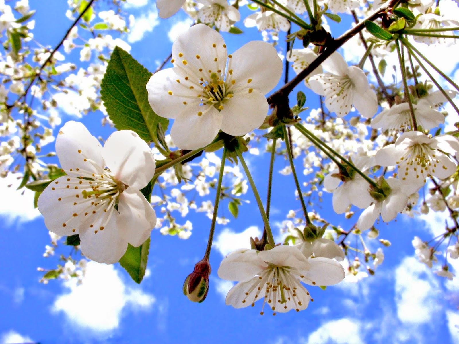 LET'S BE ECO-SENSITIVE!