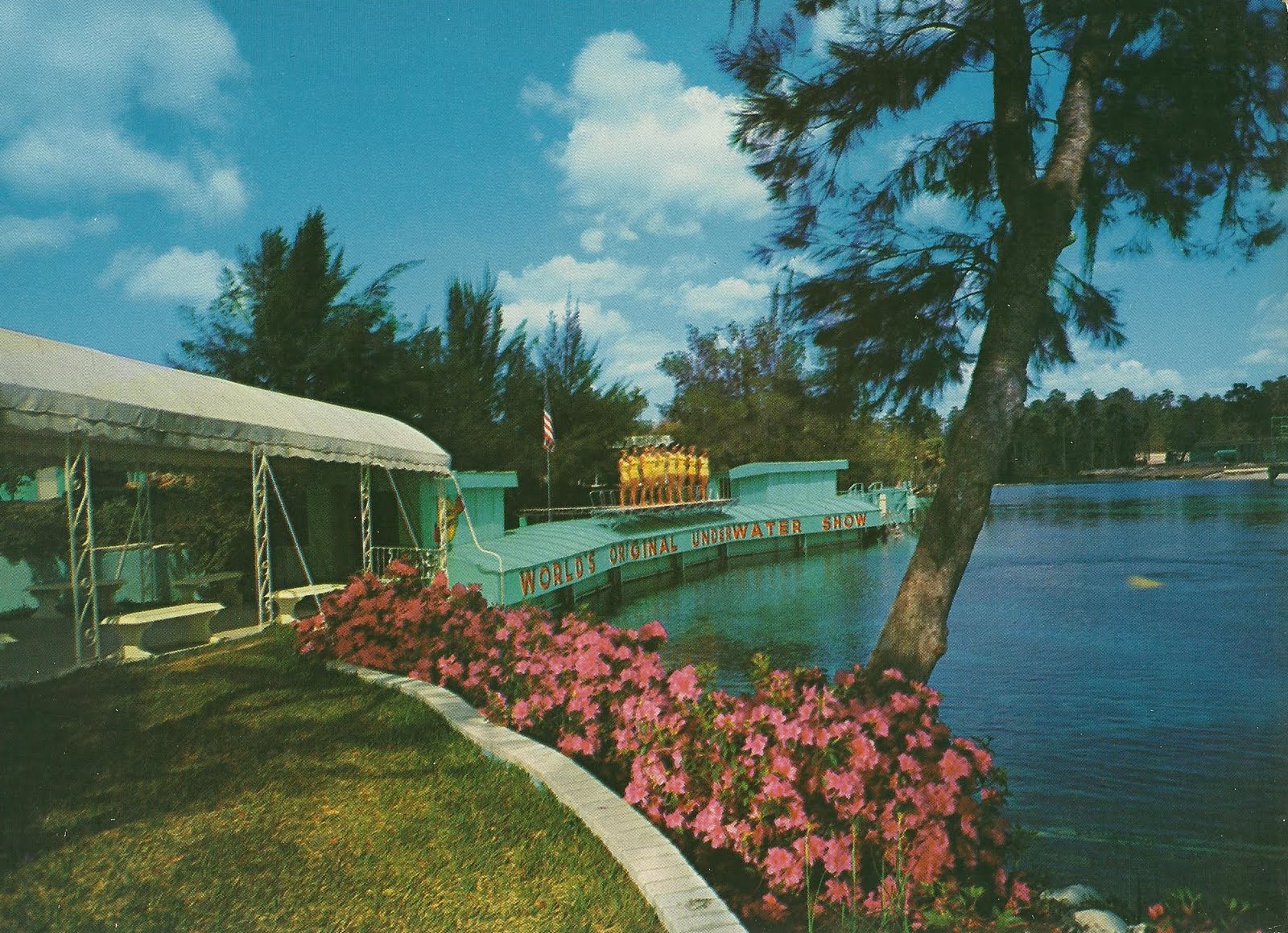 Vintage Travel Postcards: Weeki Wachee