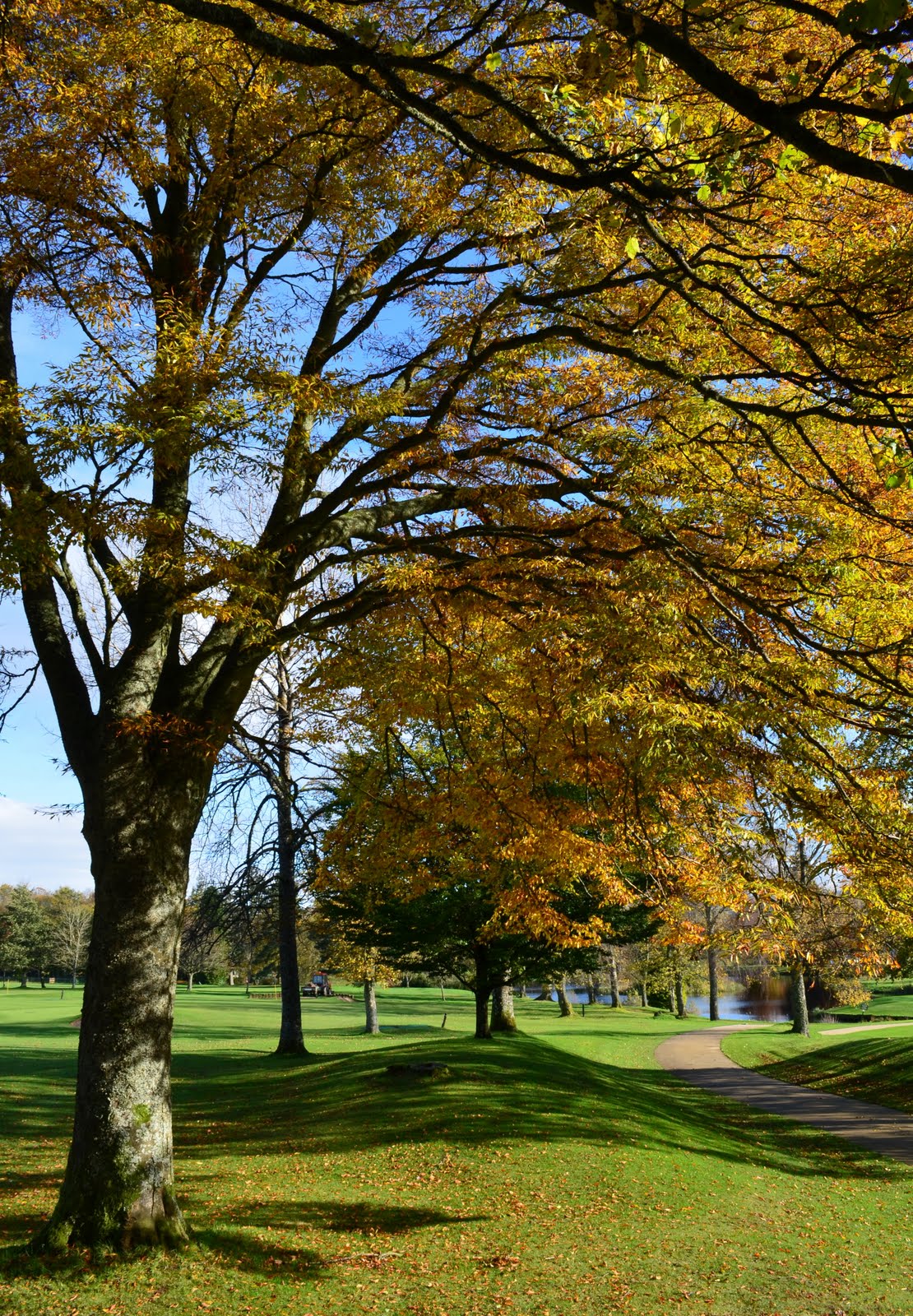 Tour Scotland: Tour Scotland Photographs Autumn Trees Gleneagles ...