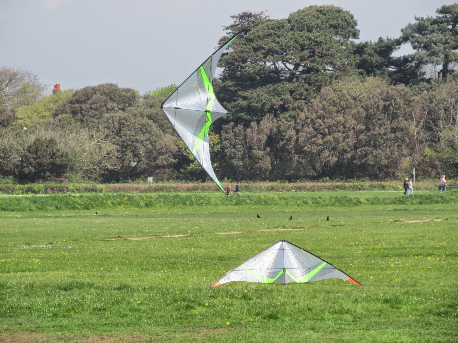 Flying Fish Kiting Team: A full set of T5 kites - part 5