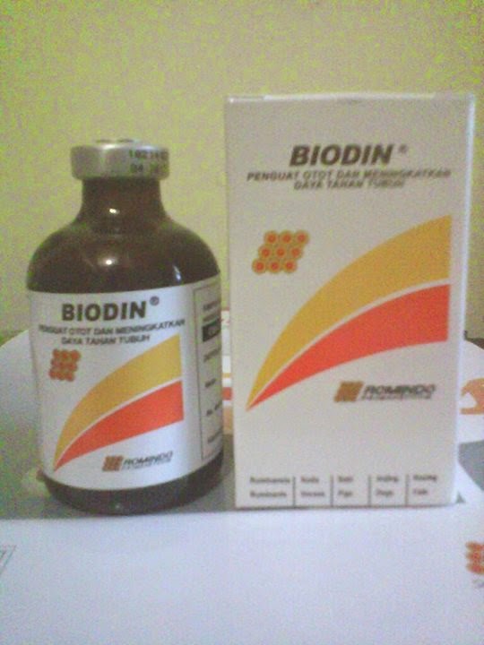 BIODIN Penguat otot dan meningkatkan daya tahan tubuh - OBAT HEWAN UNGGUL