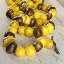 Little Homestead In Boise : DIY Lemon Topiary, Cubicle Reveal