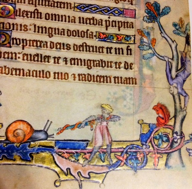 Medieval Codes : 10 best from the Macclesfield Psalter