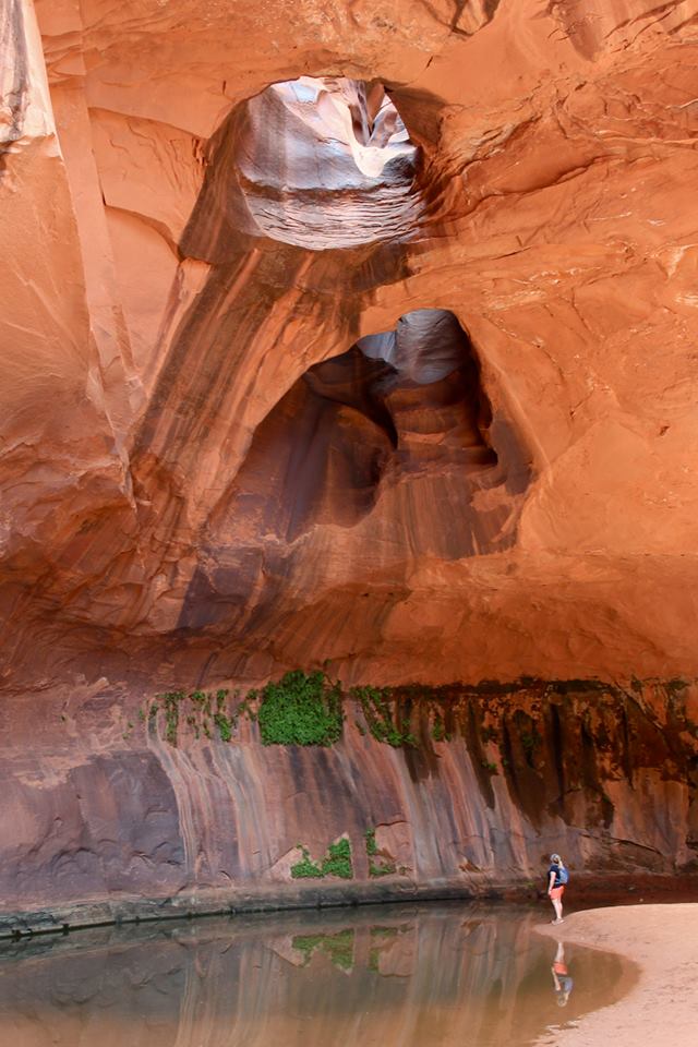 Red Rock Adventures: Golden Cathedral in Neon Canyon