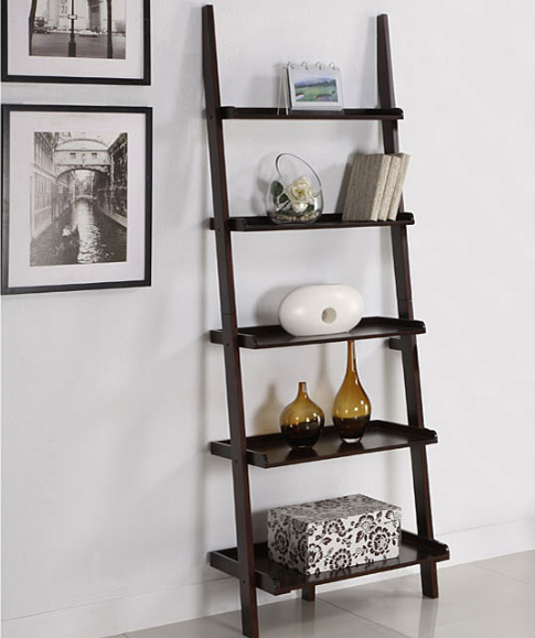 Pull Down Wall Cabinet Shelves: Painters Ladder Shelf