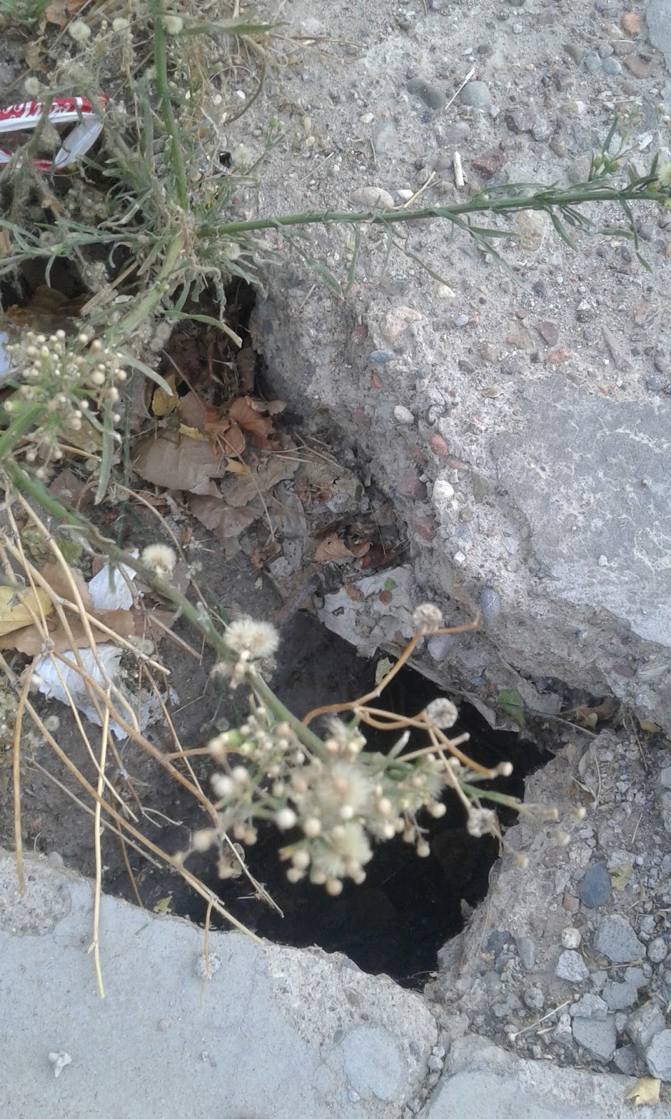 DESTAPE Y GANE: CUANDO MIRAMOS ALGO, ¿VEMOS LO “ROTO”… O LA VIDA QUE ...