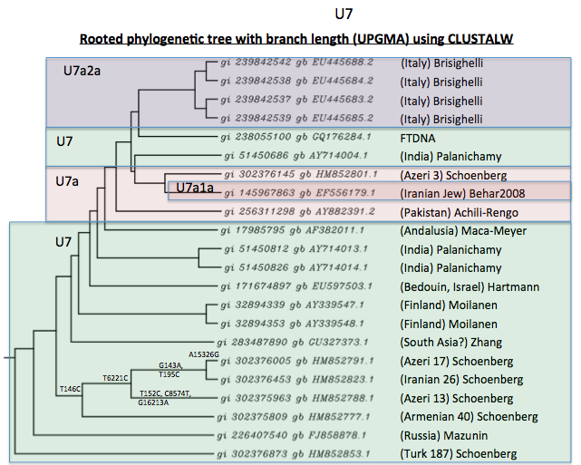 KurdishDNA: mtDNA haplogroup U7