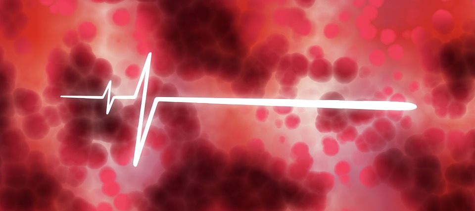 WHO DISCOVERED BLOOD CIRCULATION...?