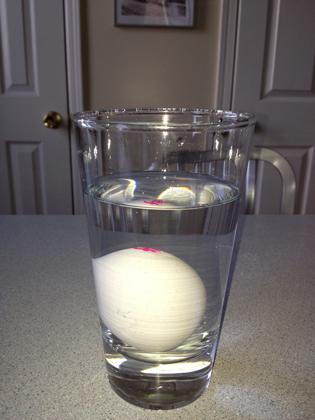 Science Experiments ★ ★ : FLOATING EGGS