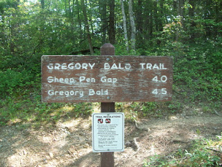 900 miles: Gregory Ridge and Gregory Bald trails