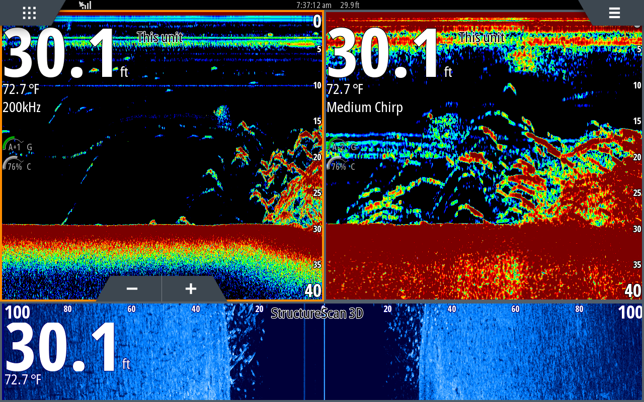 Transducer for the deep... R599LM or R599LH? | Bloodydecks