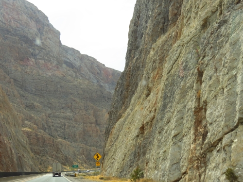 Gypsy blood & Asphalt fever