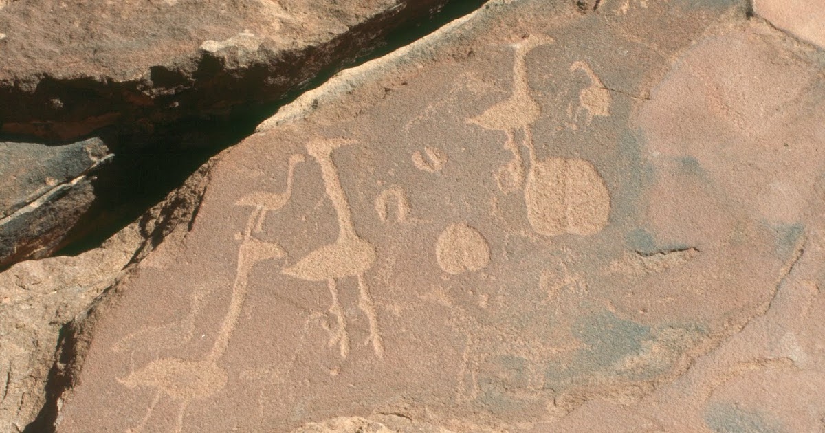 TravelComments.com Official Blog: Namibia to celebrate the "Namibian ...