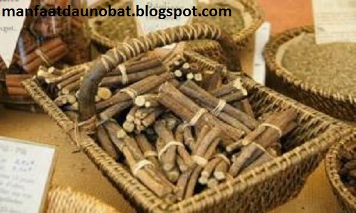 Manfaat Khasiat Akar Manis Untuk Kesehatan | Cara Pengobatan Tradisional