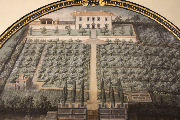 Tulp ja tulp: KAUNIS KODUAED 8 - Üks stiil