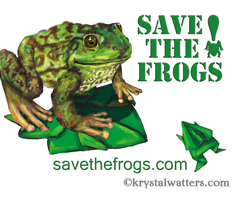 Save the Frogs Art Contest