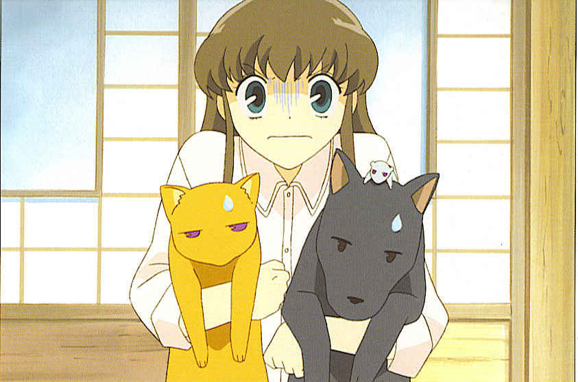 Fruits Basket Shigure Dog