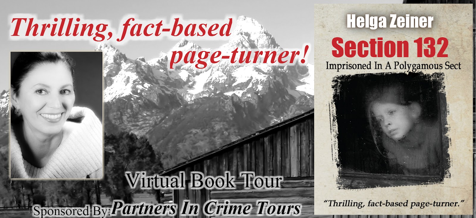 From the TBR Pile: Review & Interview: Section 132 by Helga Zeiner