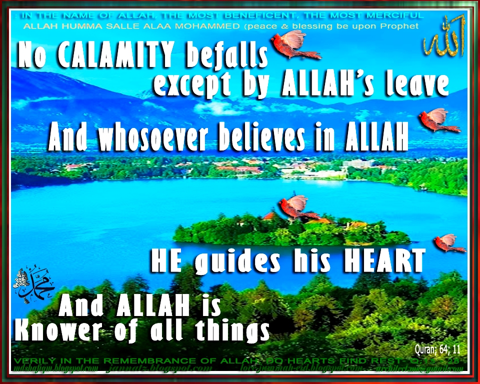 JANNATs for MUSLIMs - BELIEVERs: TRUST IN ALLAH - Tawakkul