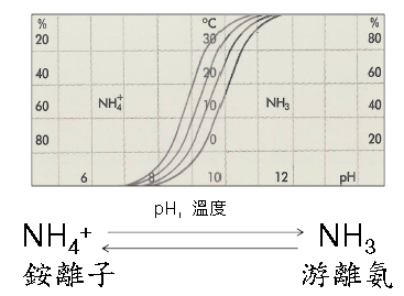 氨氮 ： NH4＋, NH3有一樣嗎? | 實驗室小小瑪莉亞- Lab Maria