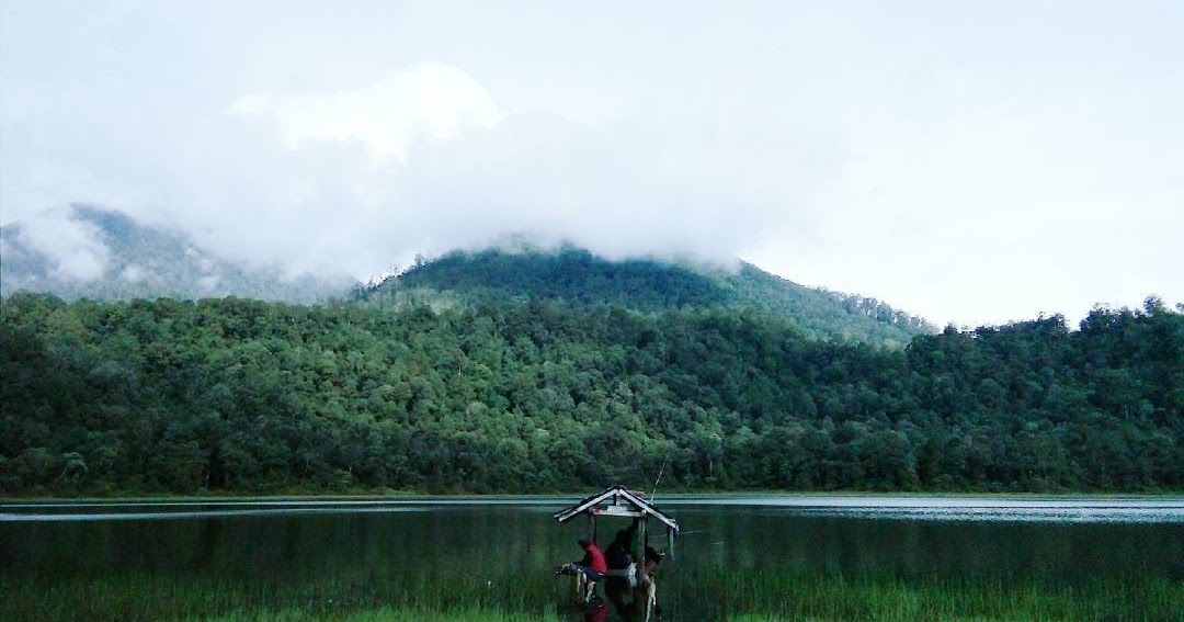 Tips dan Info Lengkap Pendakian Gunung Argopuro, Gunung dengan Trek ...