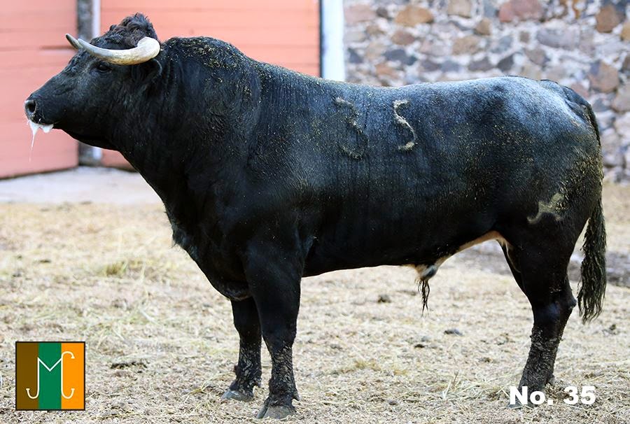 Lascosasdeltoro: Toros de Campo Hermoso, y Marrón para EL PANA en ...