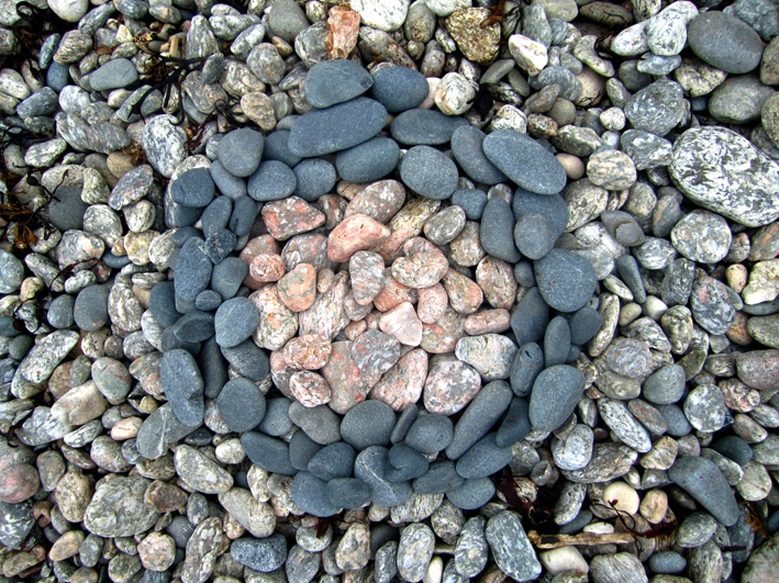 little paper gallery: beach trip