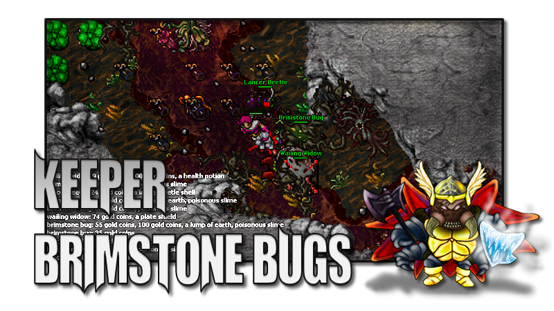 Best Tibia Bot Scripts: EK - Keeper Brimstone Bugs by BugWT