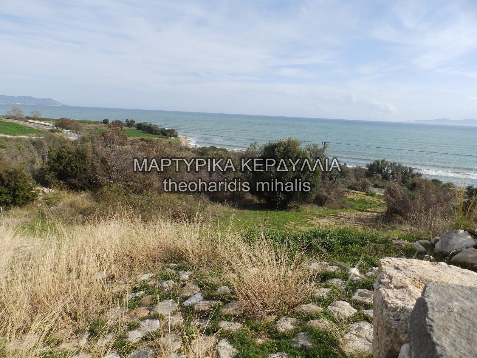 Η ΑΡΧΑΙΑ ΑΡΓΙΛΟΣ ΣΤΑ ΜΑΡΤΥΡΙΚΑ ΚΕΡΔΥΛΛΙΑ ΣΕΡΡΩΝ - Ancient Argilos ...