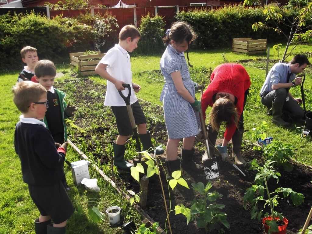 Seven Thousand Hours: Primary School Gardening