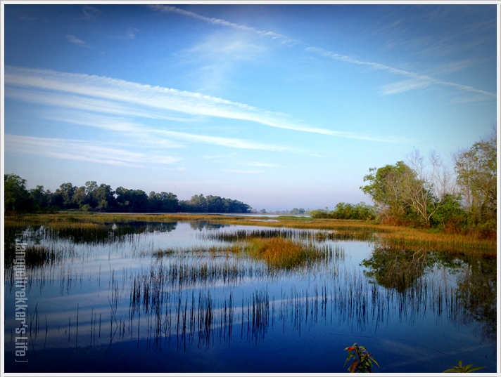 Janggeltrekker's Life: Kunjungan Lagi ke Paya Indah Wetland, Dengkil 2013!