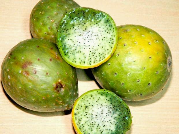 Highland Foods: FRUTAS DE LA SIERRA