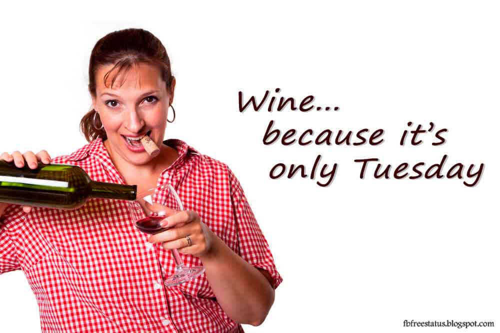 Funny Tuesday Quotes to be Happy on Tuesday Morning