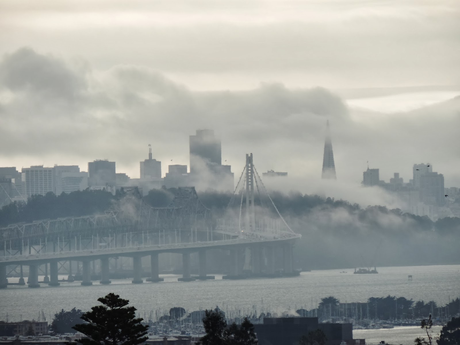 Keeping Your Head in (All) the Game(s): Fog City