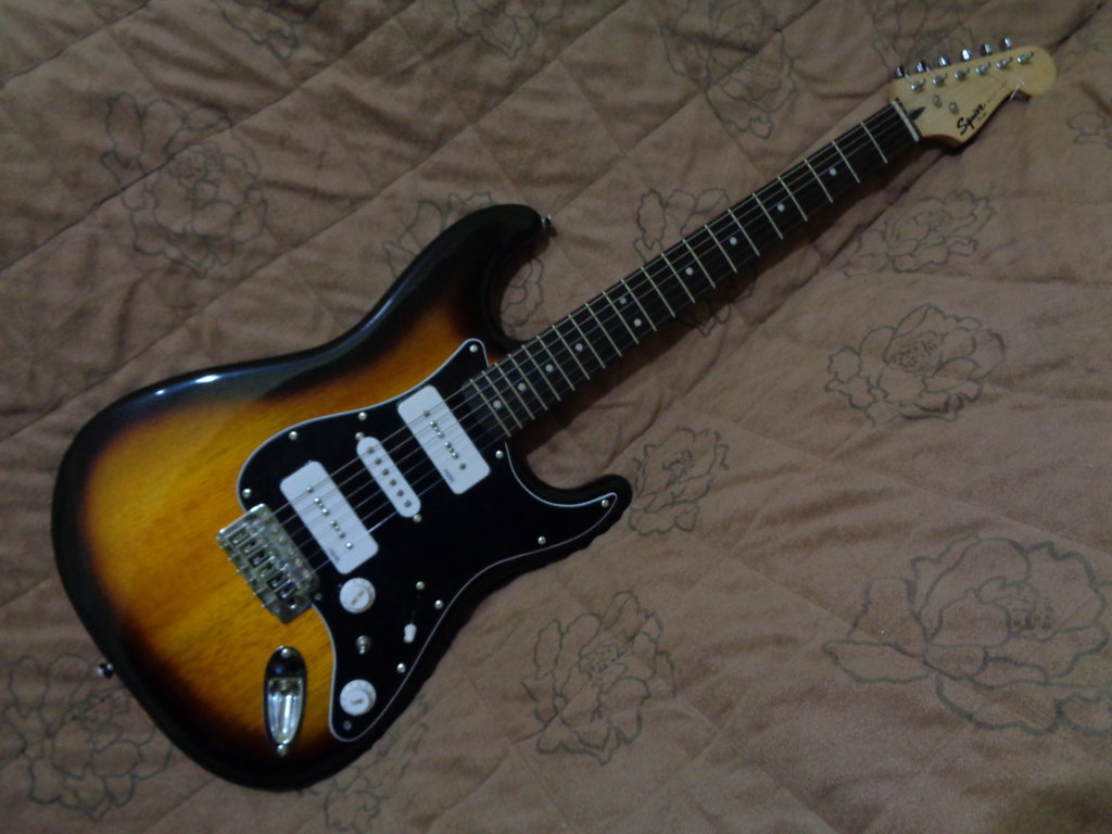 AlterSonusAudioResearch: ND-90 HANDMADE LOADED P90 / STRAT SC / P90 ...