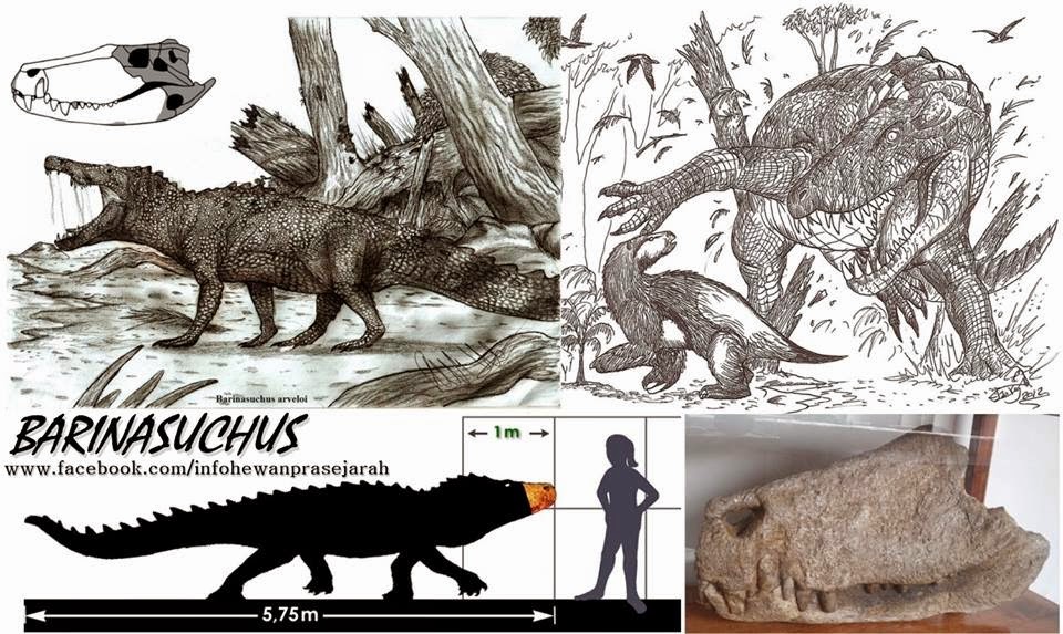 Koleksi Hewan-Hewan Prasejarah: Barinasuchus