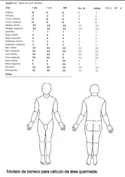 terapia do movimento: Fisioterapia em Pacientes Queimados